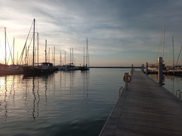 SKS,SBF See,Skippertraining (04.04.2026 - 11.04.2026) von skipper ...