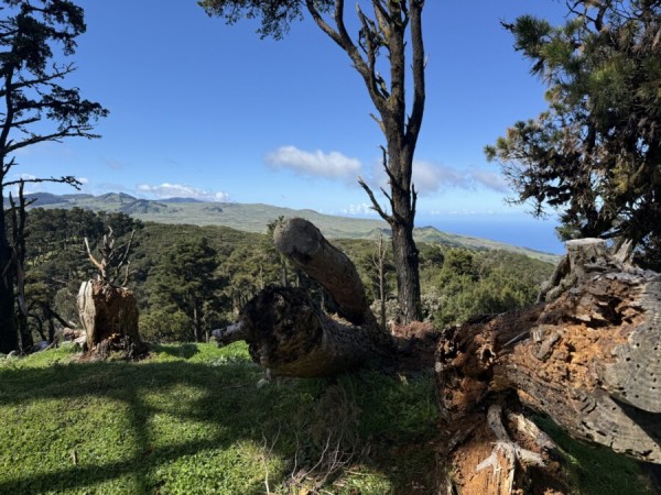 Atlantikluft schnuppern auf den Kanaren (21.02.2026 - 07.03.2026) von ...